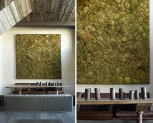 These 34 Moss Wall Design Ideas are INSANE - Definecivil