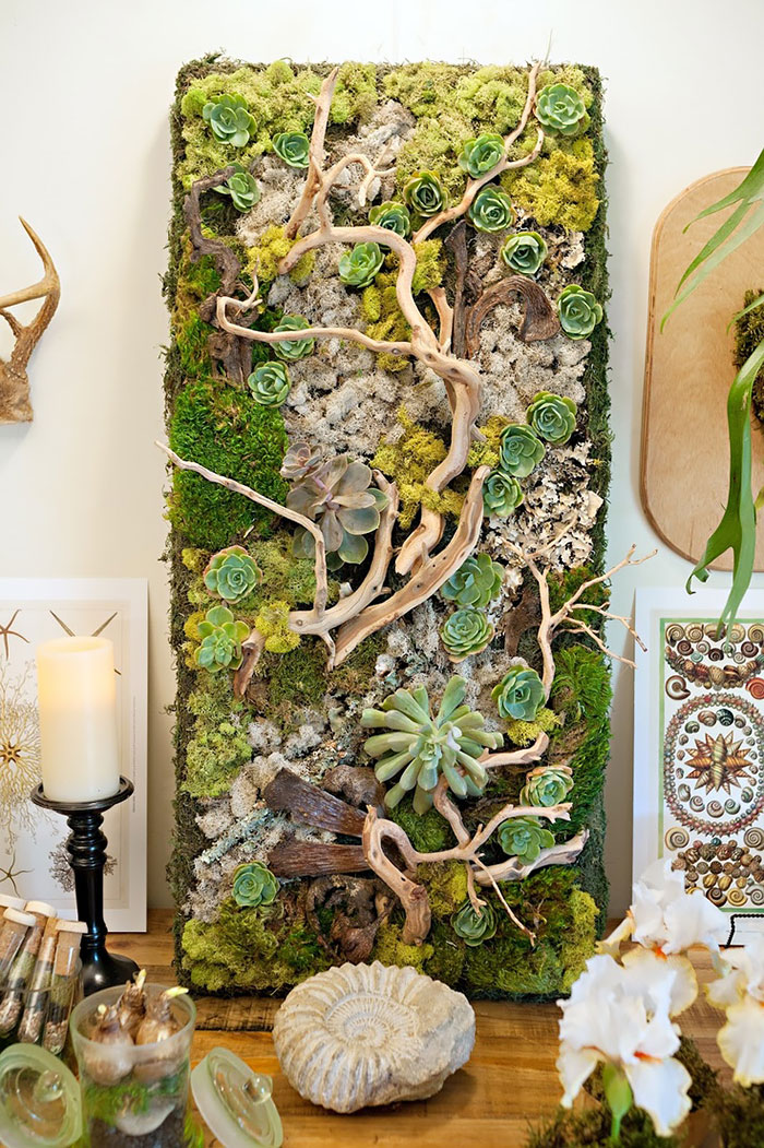 These 34 Moss Wall Design Ideas are INSANE - Definecivil
